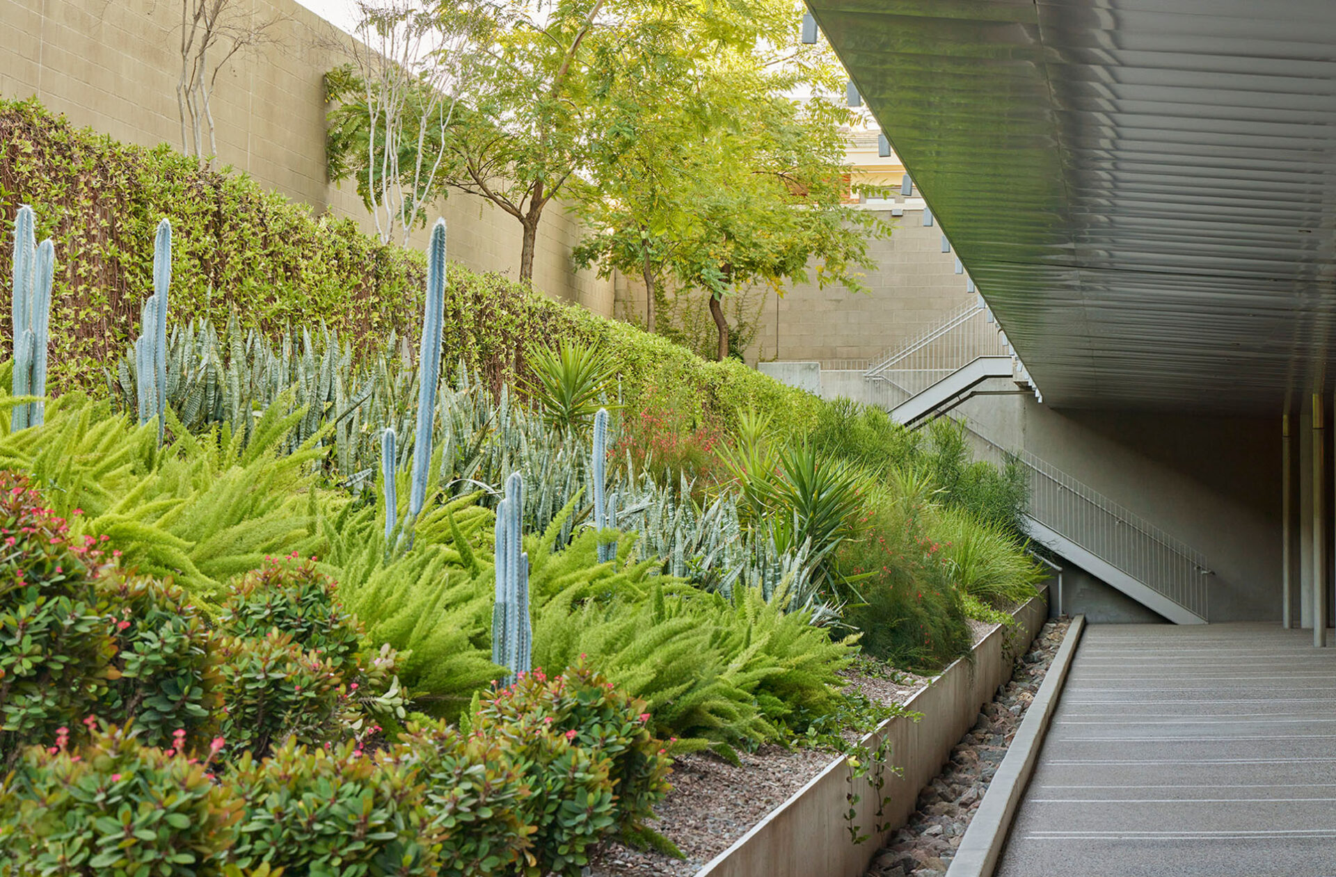 Helios Education Foundation - COLWELL SHELOR